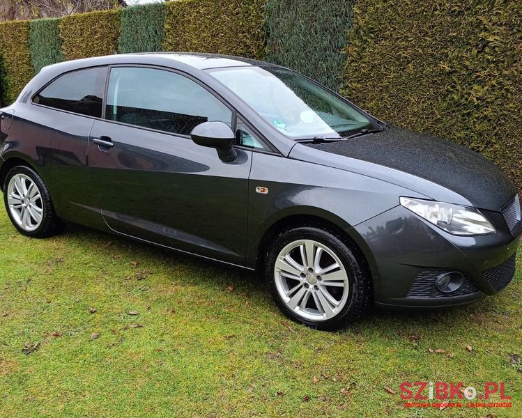Stilvolle Seat Ibiza 2010 Bildnull